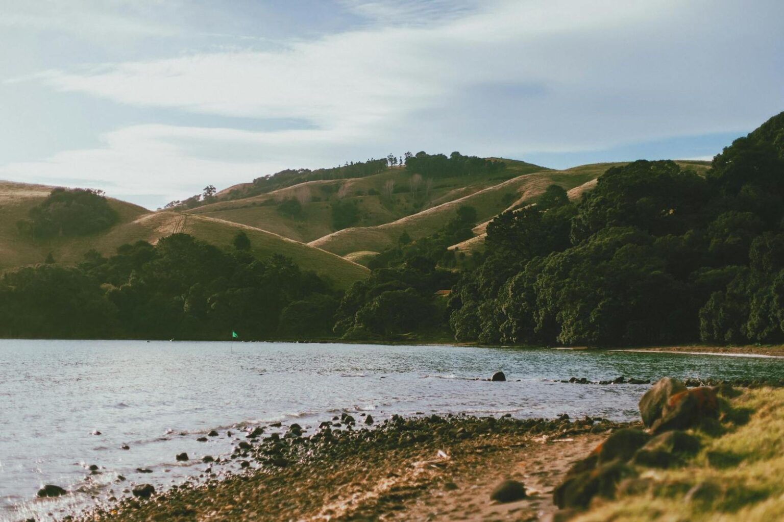 Things to Do - Auckland Tourism Guide